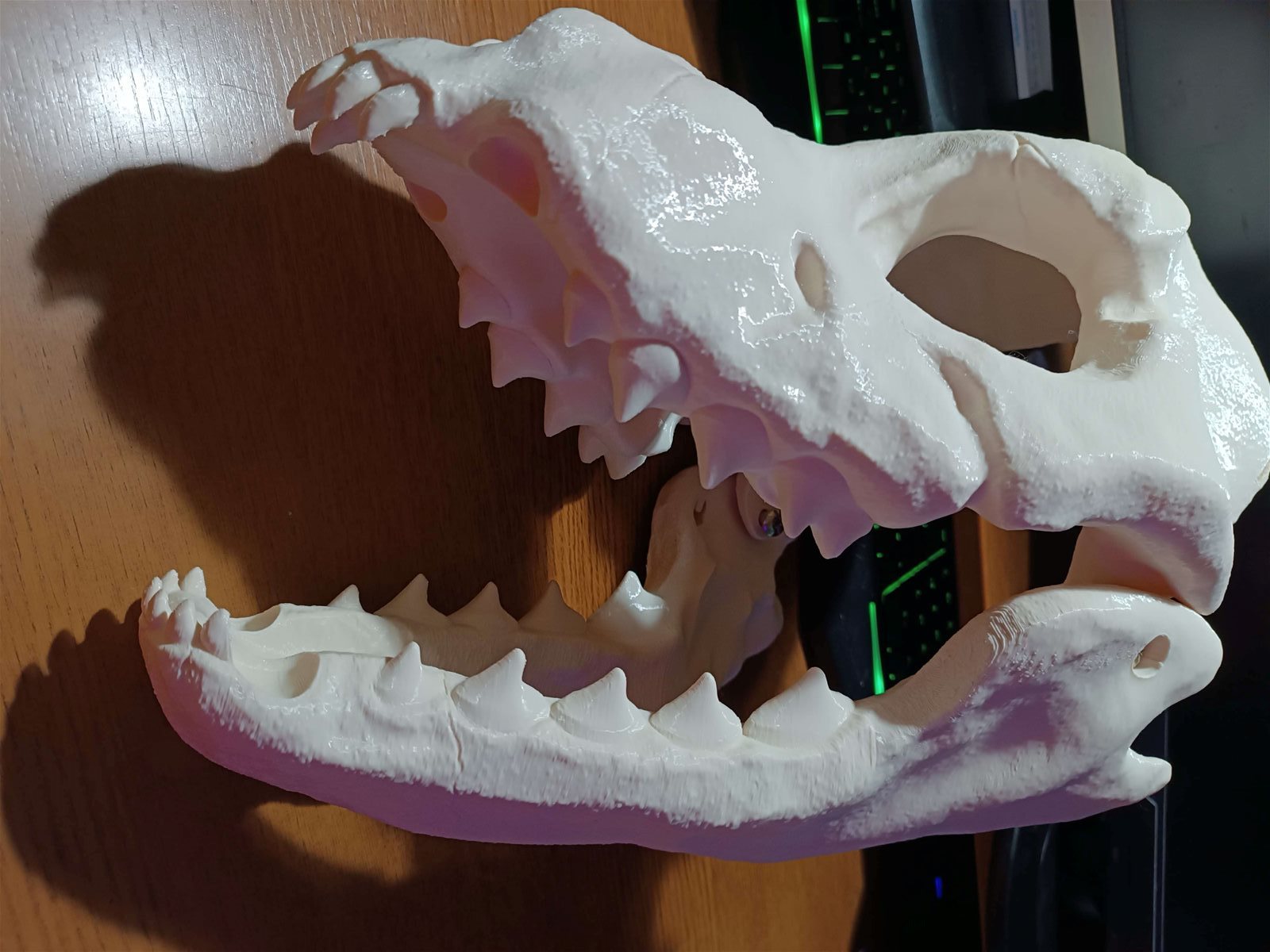 Recenze C-TECH filament PREMIUM LINE PLA slonová kost světlá RAL1015 ...