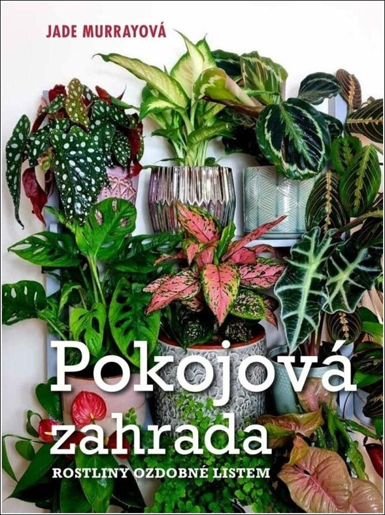 Pokojová zahrada: Rostliny ozdobné listem - Jade Murrayová | Kniha na ...