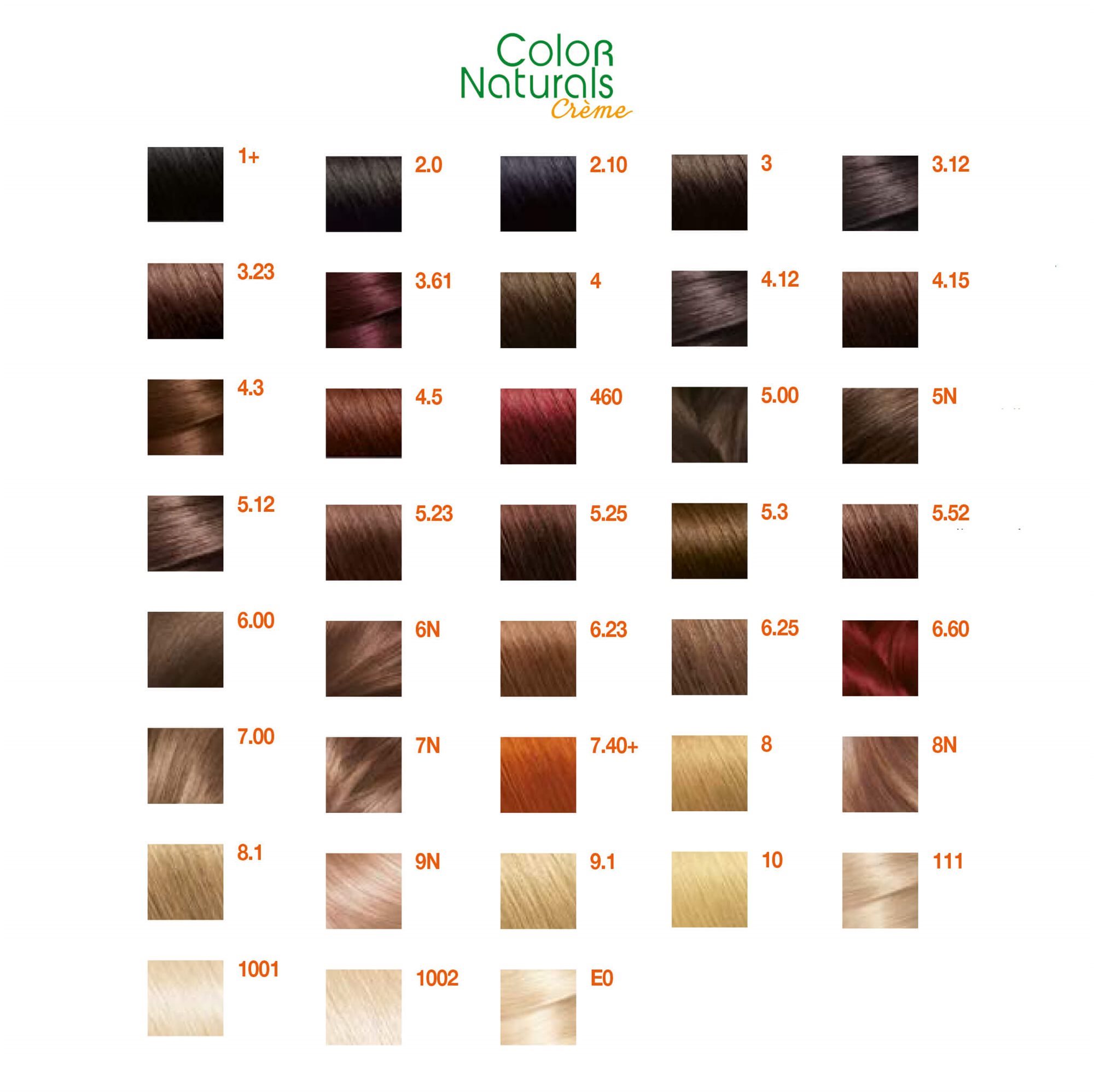 Brown Hair Color Chart Garnier Color Naturals - Infoupdate.org