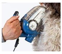 Automatic dog brush store