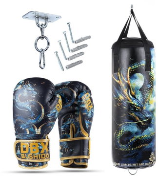 DBX BUSHIDO Dětská boxovací sada Dragon - pytel, rukavice, montáž ...