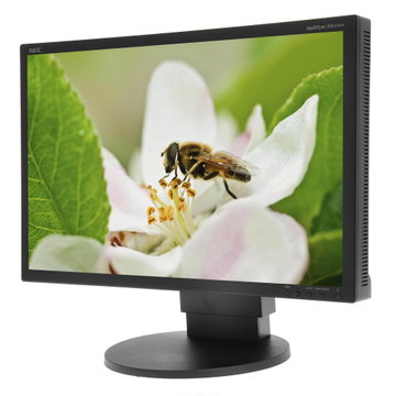24" NEC MultiSync LCD EA241WM černý - LCD monitor | Alza.sk